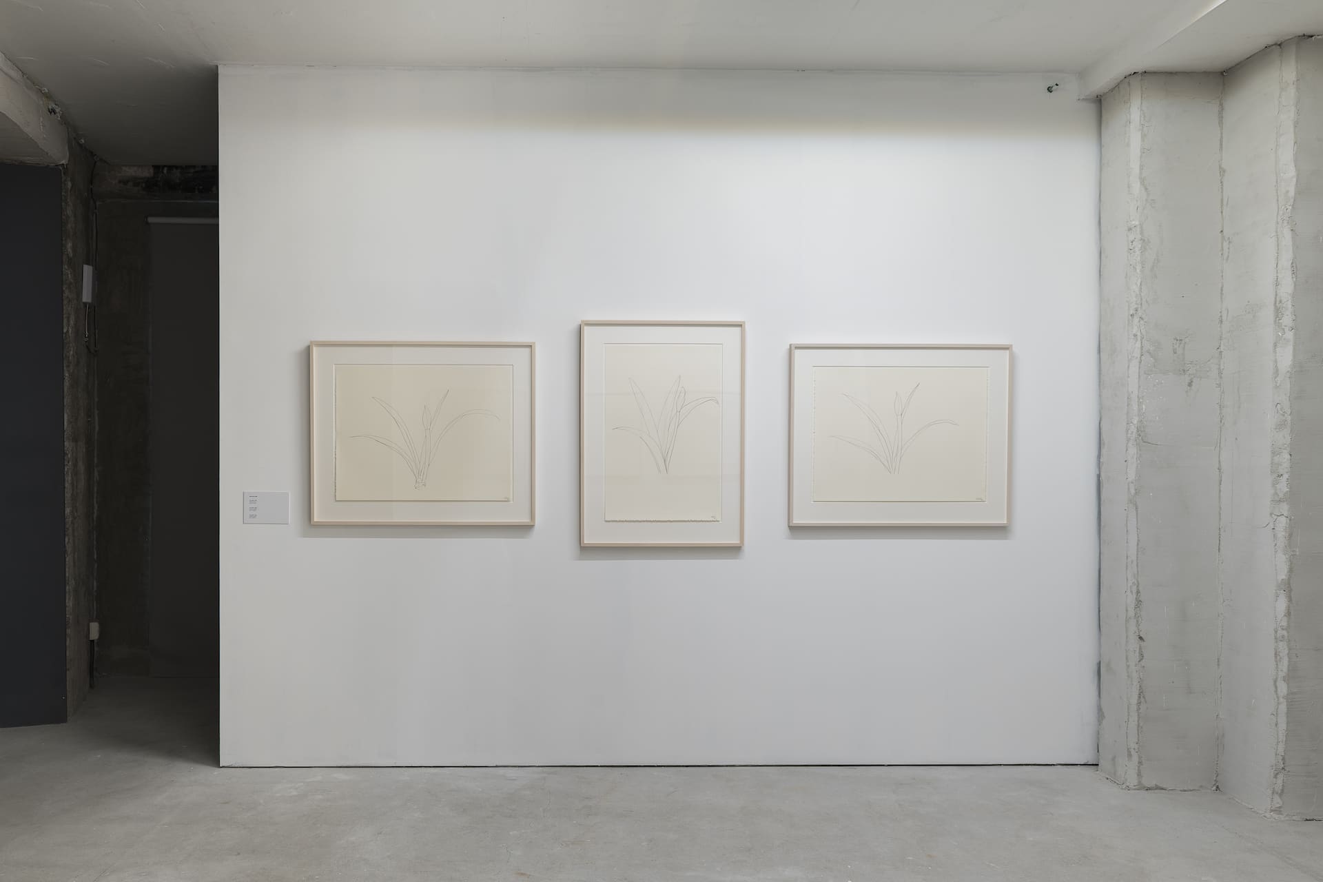 Ellsworth Kelly. Line, Form, Color - Fondazione Nicola Del Roscio