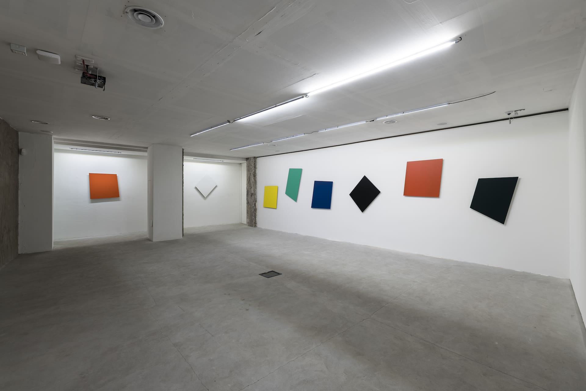 Ellsworth Kelly. Line, Form, Color - Fondazione Nicola Del Roscio