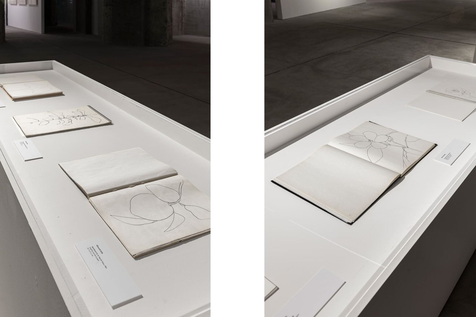 Ellsworth Kelly. Line, Form, Color - Fondazione Nicola Del Roscio